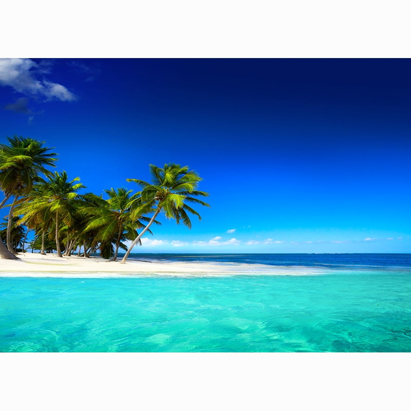 Ocean Scenery Photo Studio Photography Background Lake Scenic Beach ...