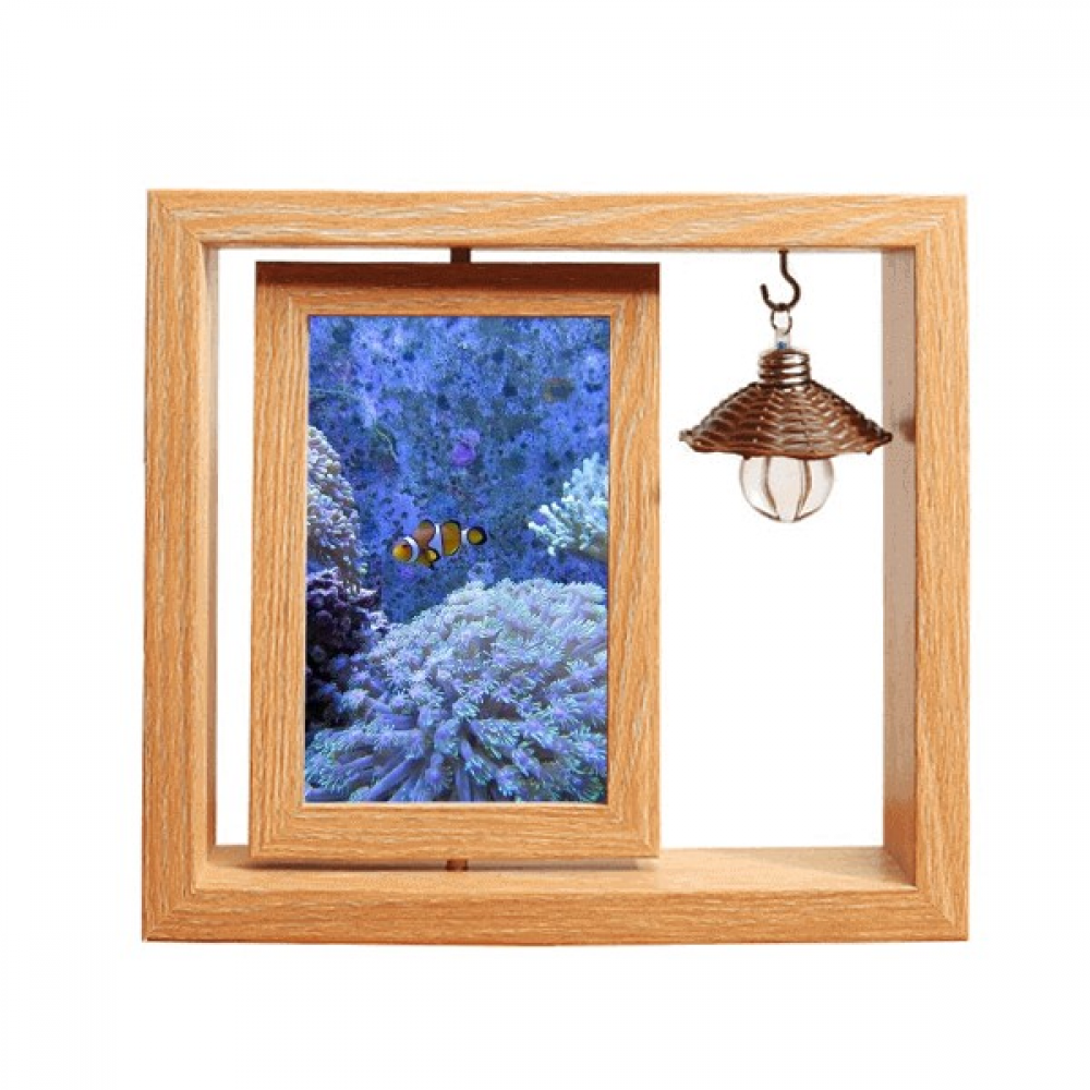 Ocean Science Clownfish Nature Picture Wooden Rotating Picture Photo ...