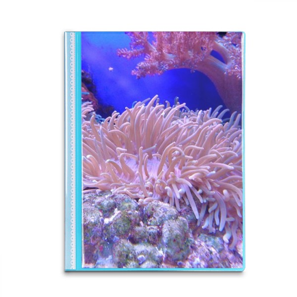 Ocean Science Nature Picture Book Sheet Protectors Portfolio Binder ...