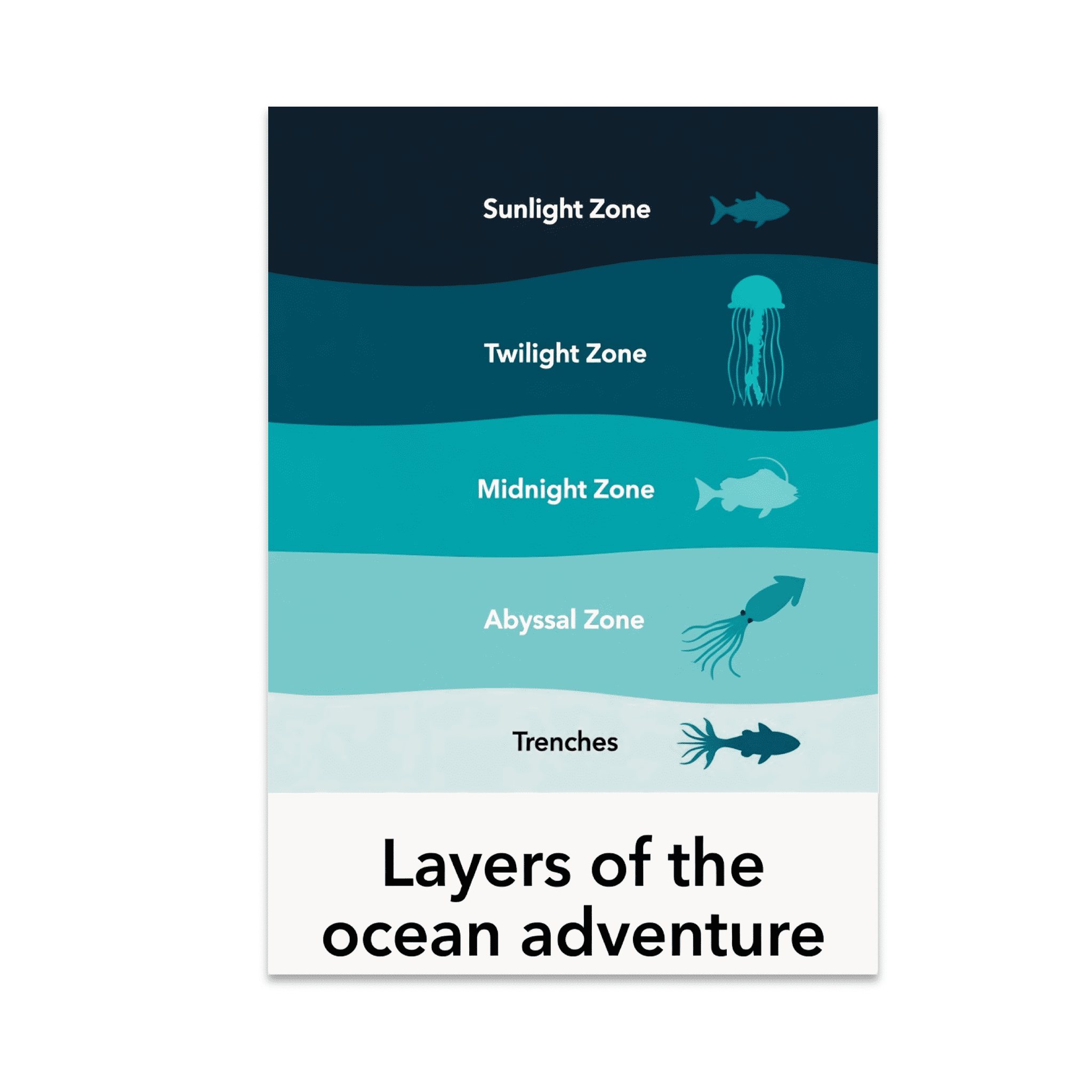 Ocean Science Wall Decor - Marine Biology Enthusiast - 13x19 Poster ...