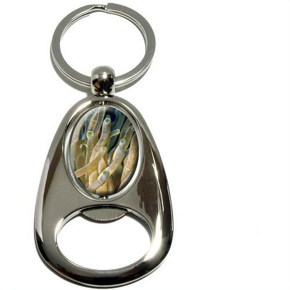 Ocean Sea Anemone, Coral Reef Scuba Diving, Chrome Plated Metal ...