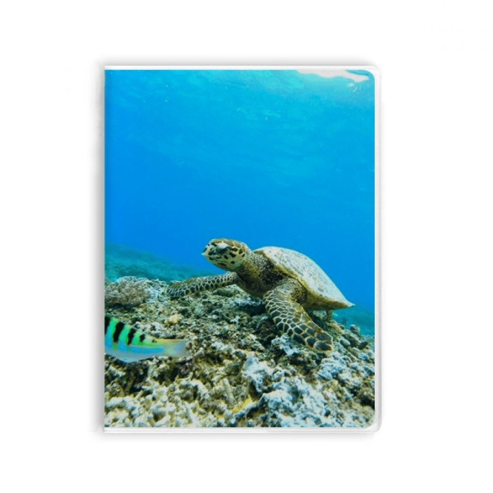 Ocean Sea Turtle Fish Science Nature Picture Notebook Gum Cover Diary ...