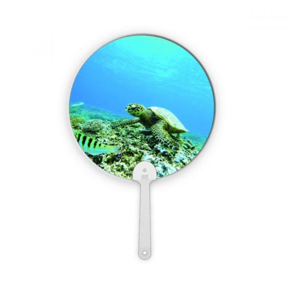 Ocean Sea Turtle Fish Science Nature Picture Plastic Round Handheld Fan ...