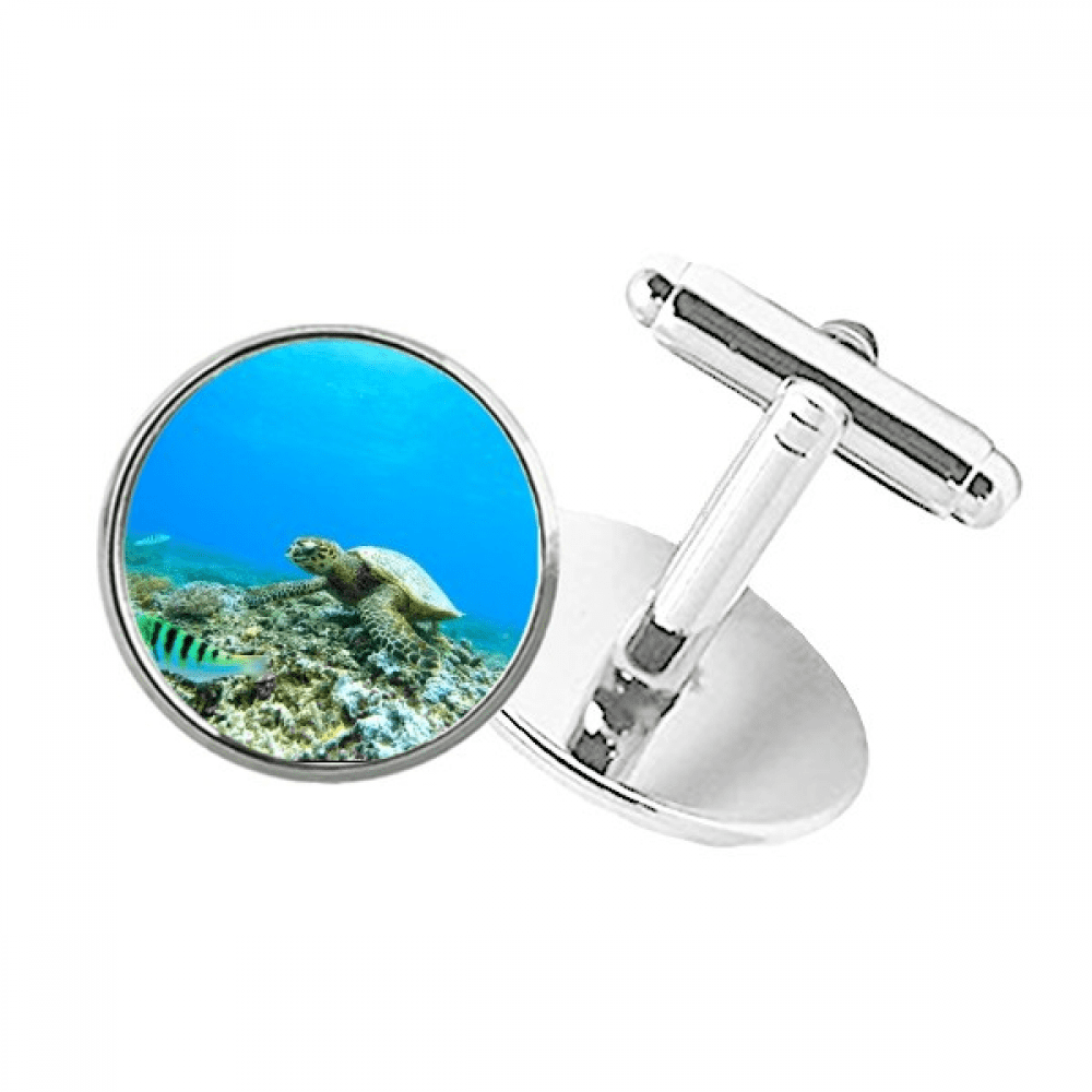 Ocean Sea Turtle Fish Science Nature Picture Round Button Cuff Clip ...