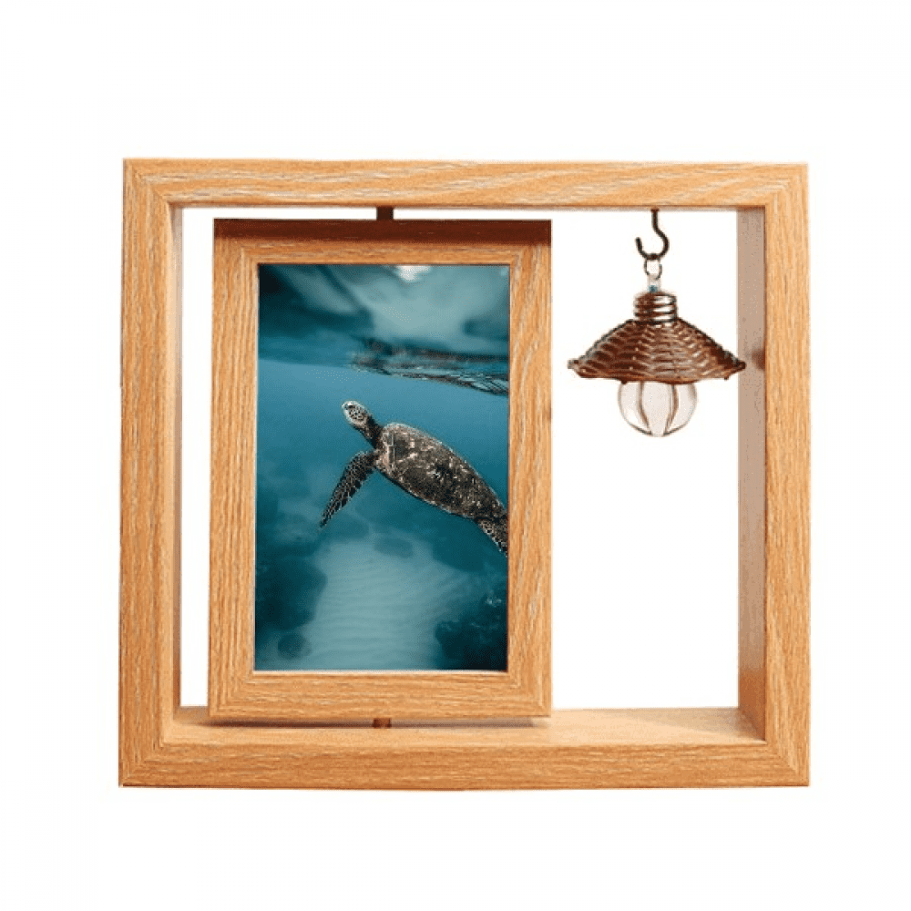Ocean Sea Turtle Science Nature Picture Wooden Rotating Picture Photo ...