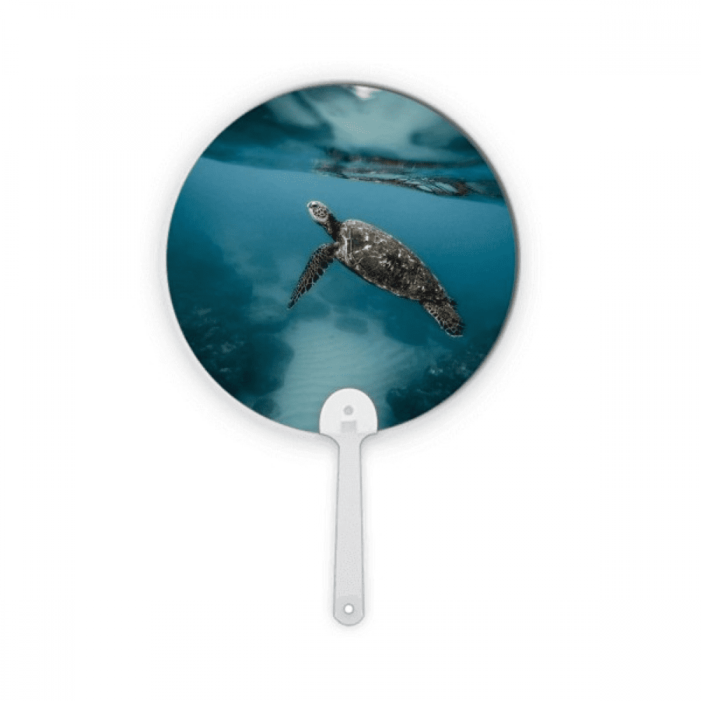 Ocean Sea Turtle Science Nature Plastic Round Handheld Fan Decorations ...