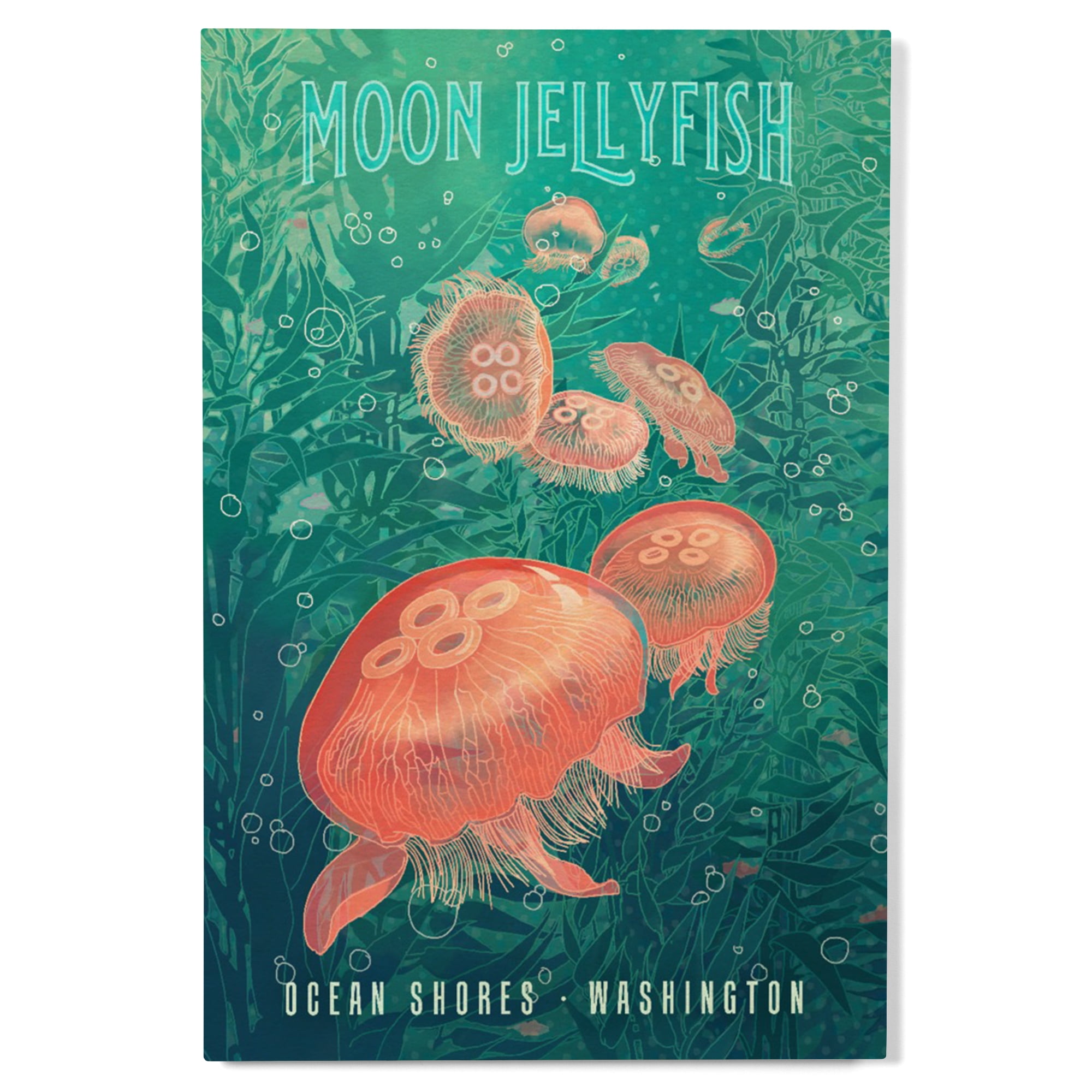 Ocean Shores, Washington, Fluid Linework, Moon Jellyfish Birch Wood ...