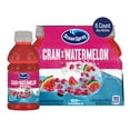 Ocean Spray Cran-Watermelon Cranberry Watermelon Juice Drink, 10 fl oz ...