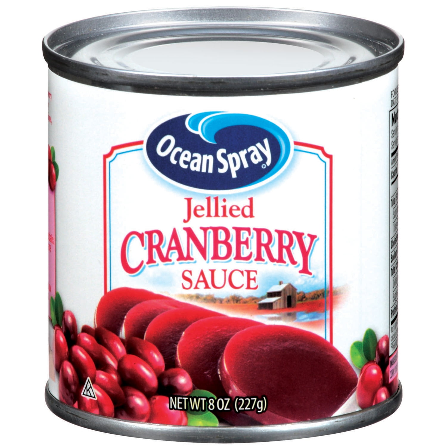 Ocean Spray Jellied Cranberry Sauce, 8 oz - Walmart.com