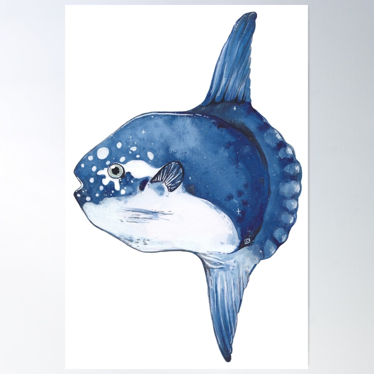 Ocean Sunfish - Mola Mola Poster Wall Art, Modern Wall Decor For Living ...