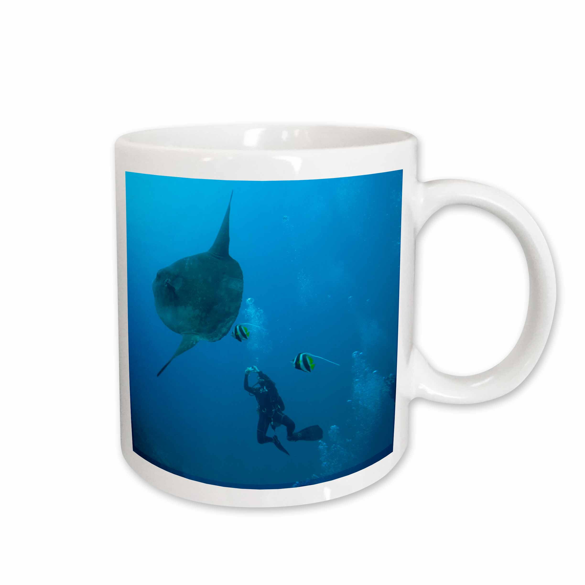 3drose, Ocean Sunfish, Nusa Penida, Bali, Indonesia-as11 Sws0328 ...