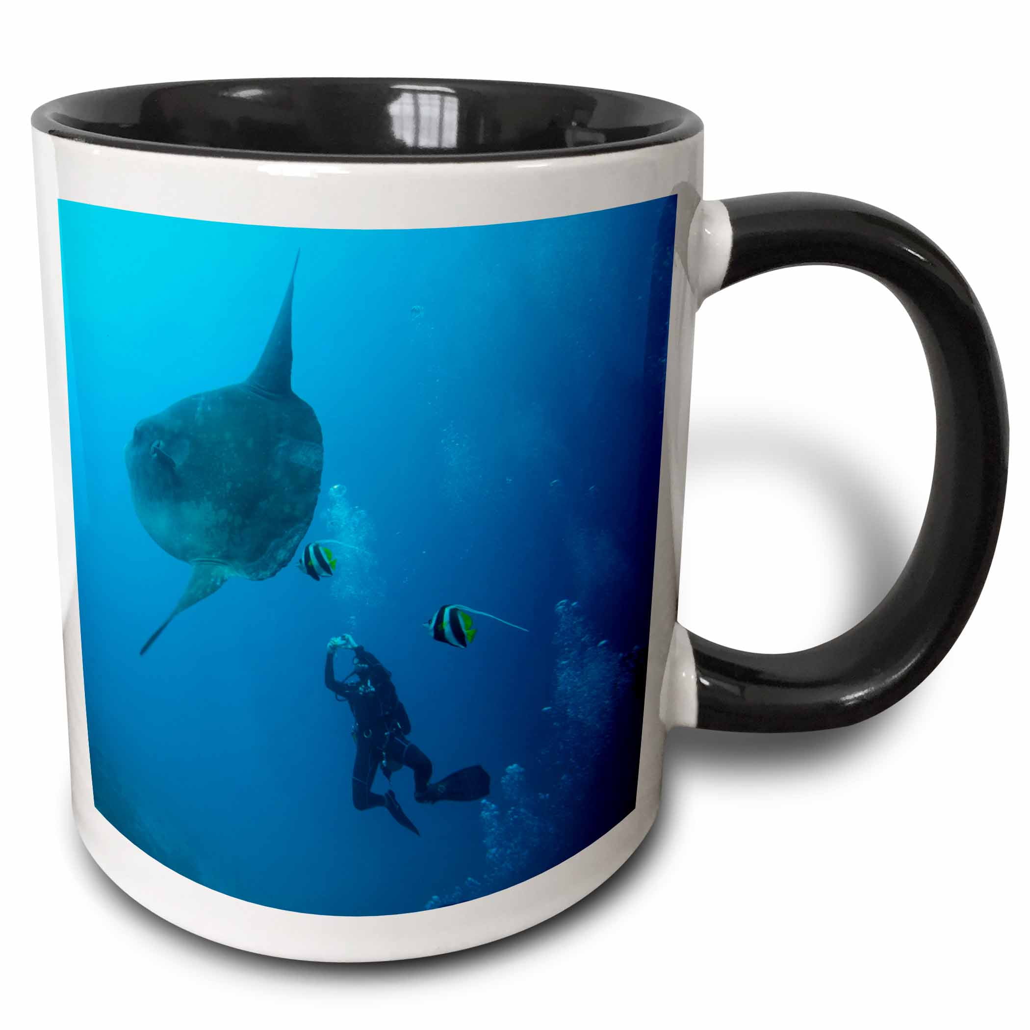 3drose, Ocean Sunfish, Nusa Penida, Bali, Indonesia-as11 Sws0328 ...