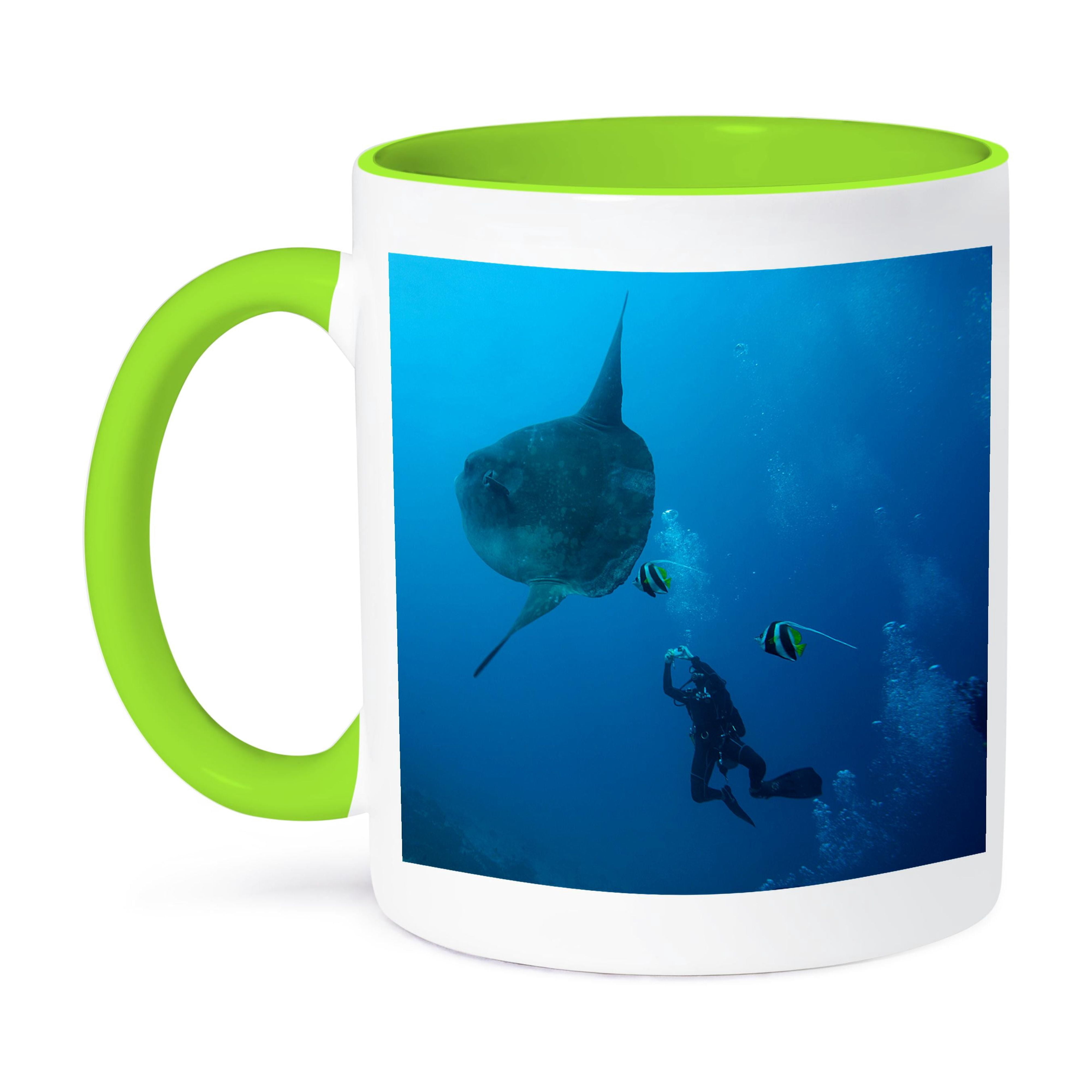 Ocean Sunfish, Nusa Penida, Bali, Indonesia-As11 Sws0328 - Stuart ...