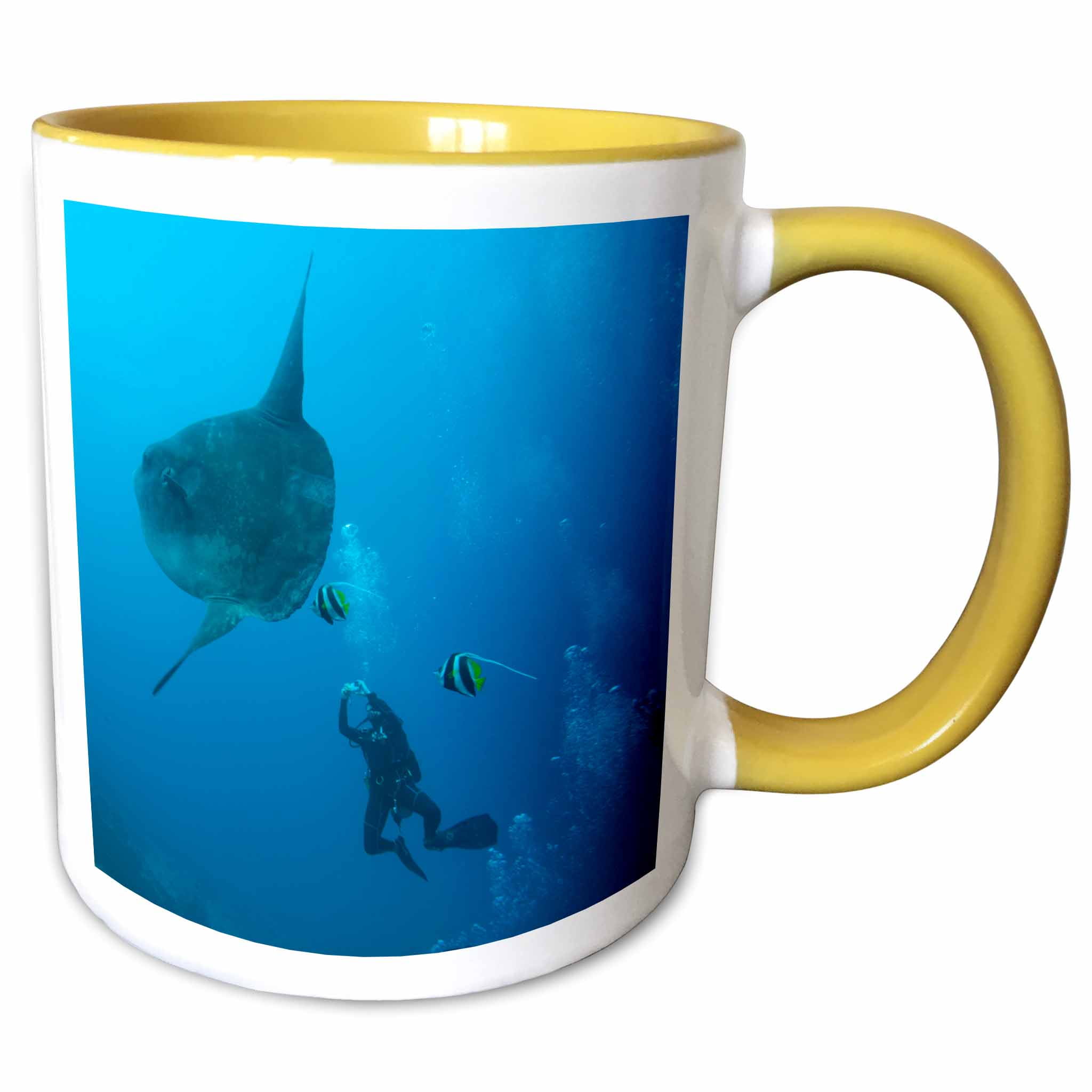 3drose, Ocean Sunfish, Nusa Penida, Bali, Indonesia-as11 Sws0328 ...