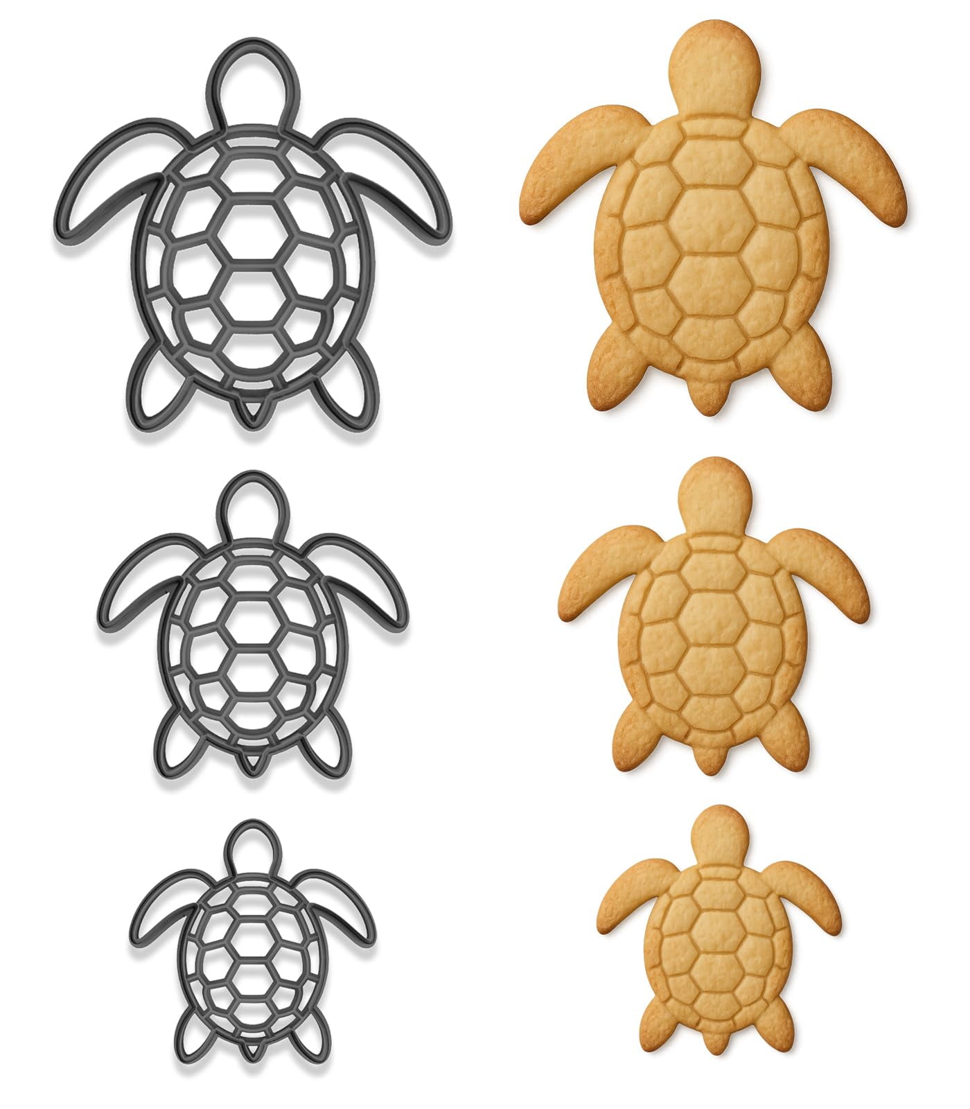 "Mighty Gadget Ocean Turtle Cookie Cutter and Stamp Set, 3 Sizes (4 ...