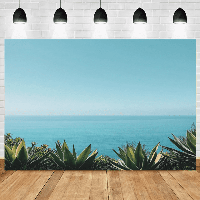 Ocean View with Succulents Natural Scenic Backdrops Summer Landscape ...