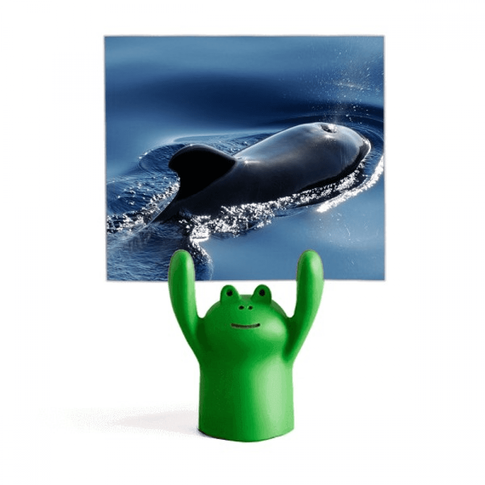 Ocean Water Sea Whale Science Nature Picture Memo Holder Cartoon Animal ...