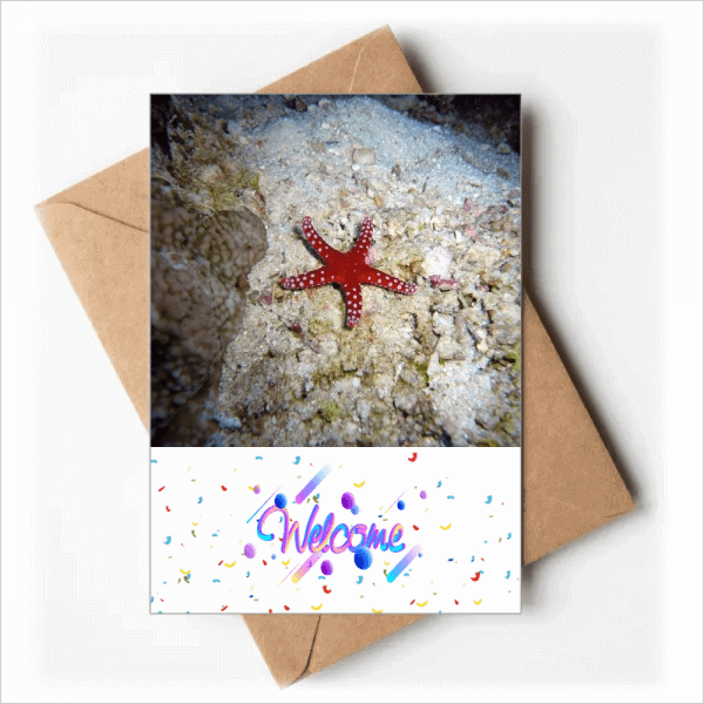 Ocean Water Starfish Nature Picture Welcome Back Greeting Cards ...