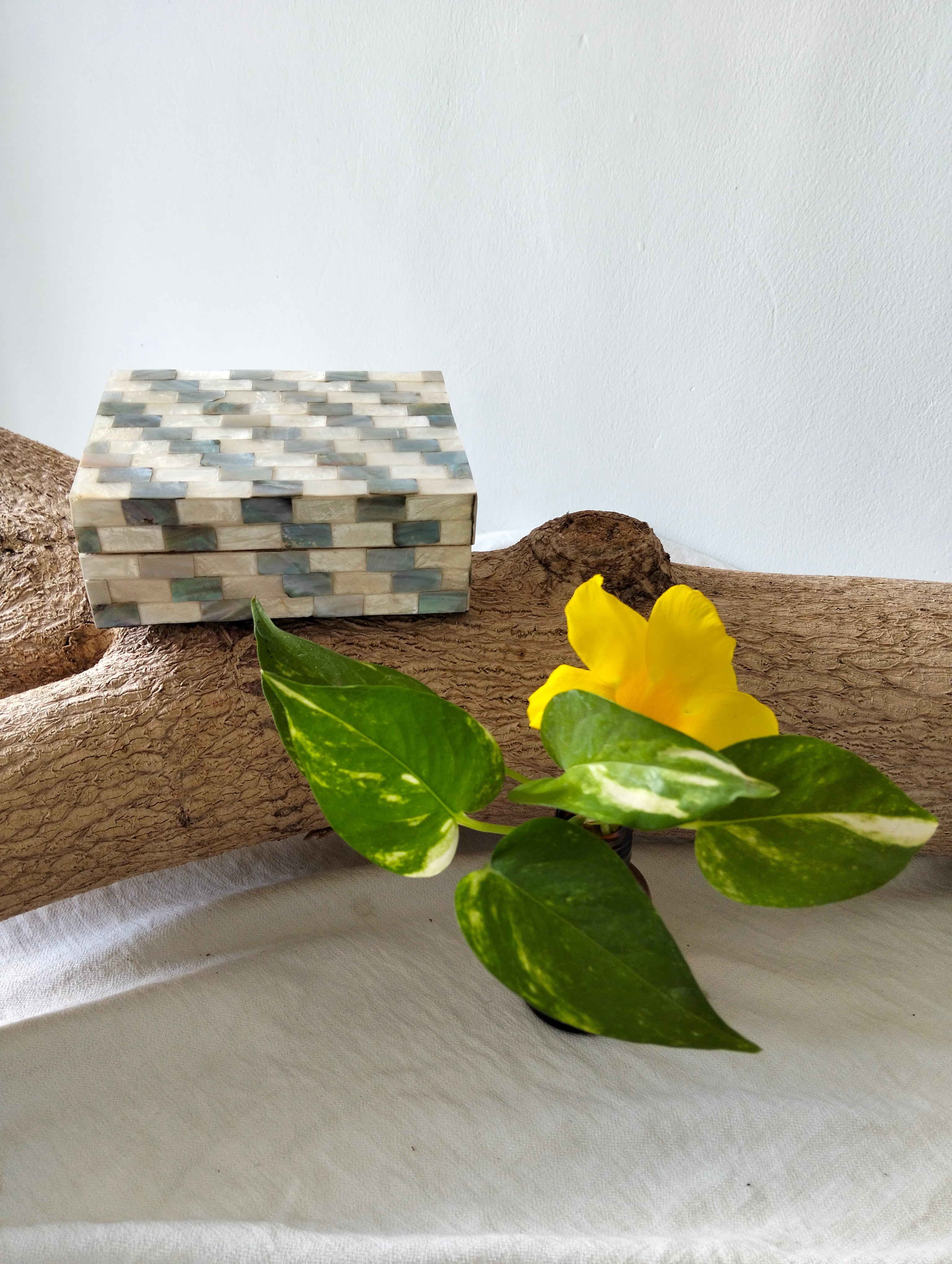 Ocean Whisper Treasure Box from Tropical Island Paradise Bali, Exotic ...