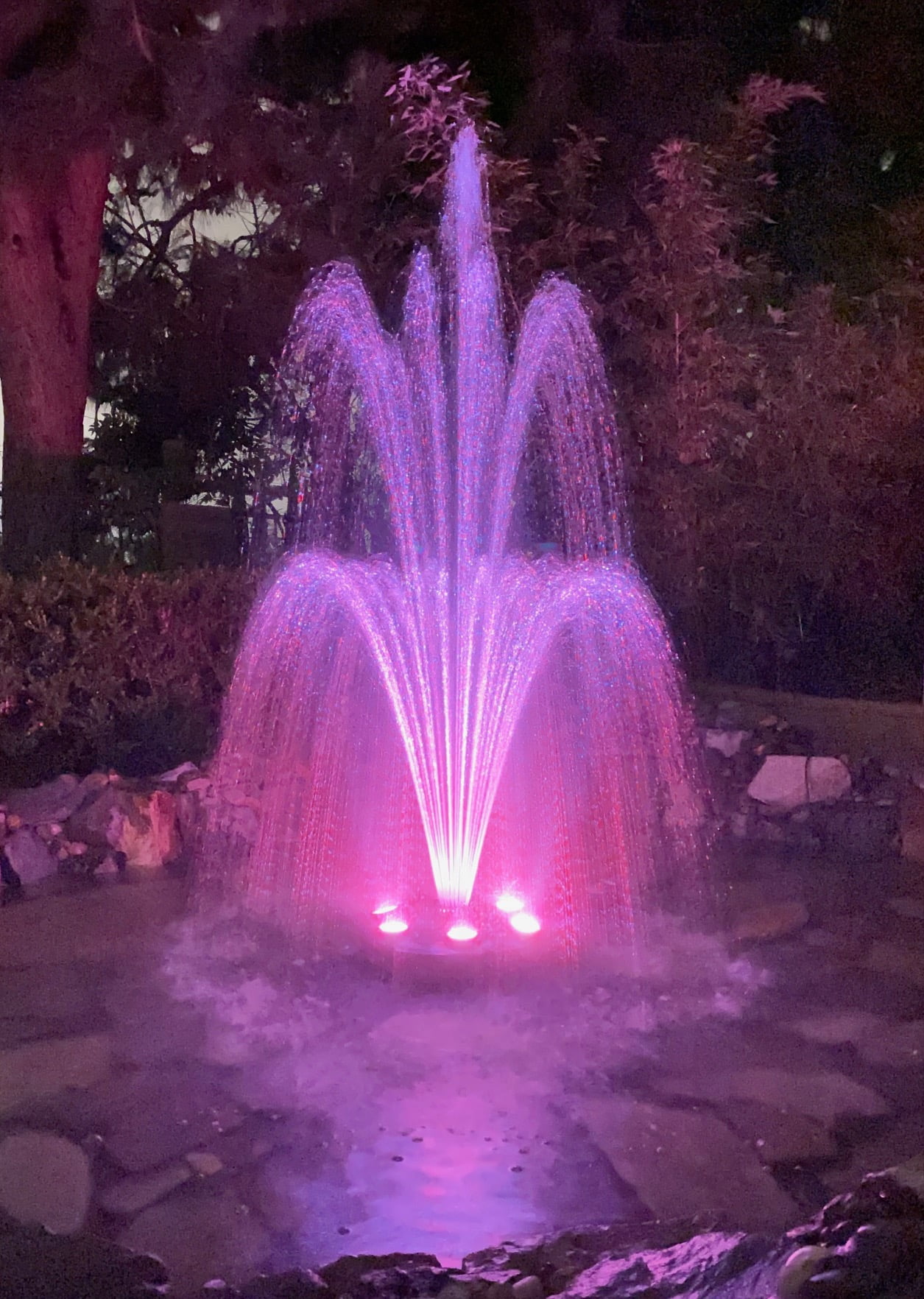 Ocean Mist Floating Pond Fountain Kit with High Output, RBG Color LED ...