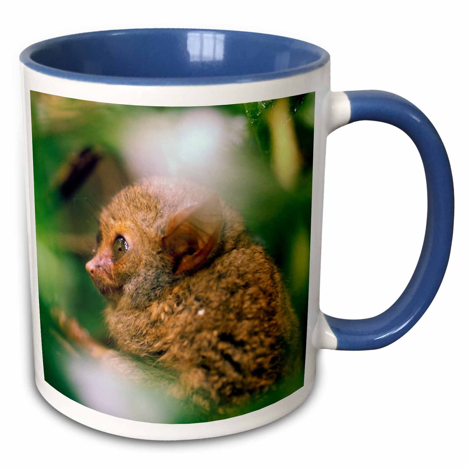 3drose, Oceania, Indonesia, Sulawesi. Tarsier Primate-as11 Mwe0210 ...