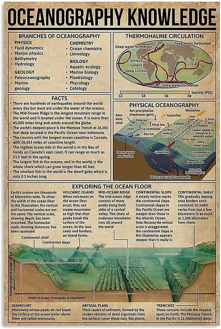 Oceanography Knowledge 200 Piece Wooden Jigsaw Puzzles For Adults ...