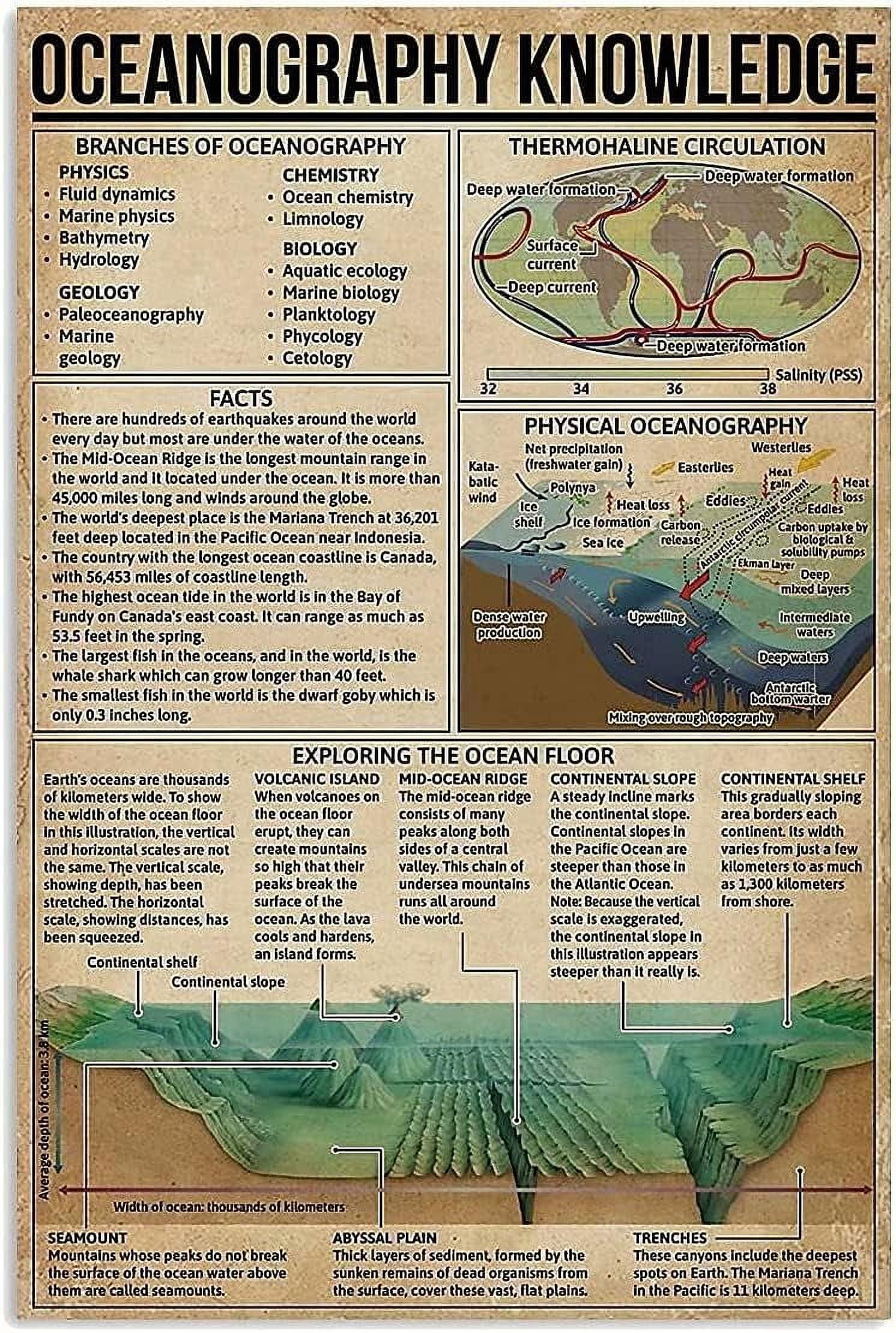 Oceanography Knowledge 500 Piece Wooden Jigsaw Puzzles For Adults ...