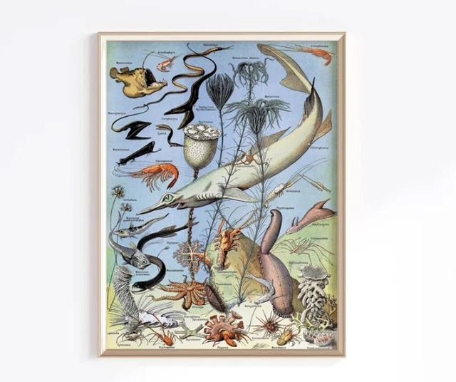 Oceanography Printable Wall Decor Oceanography Poster Printable Poster ...