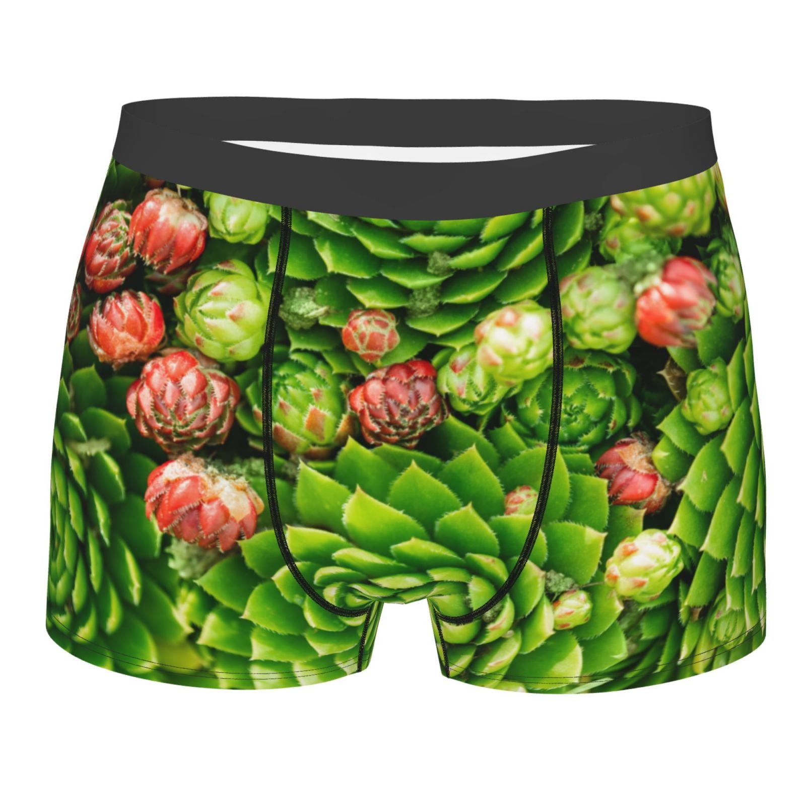 Ocsxa Men's Cactus And Succulents Boxer Briefs, Moisture Wicking ...