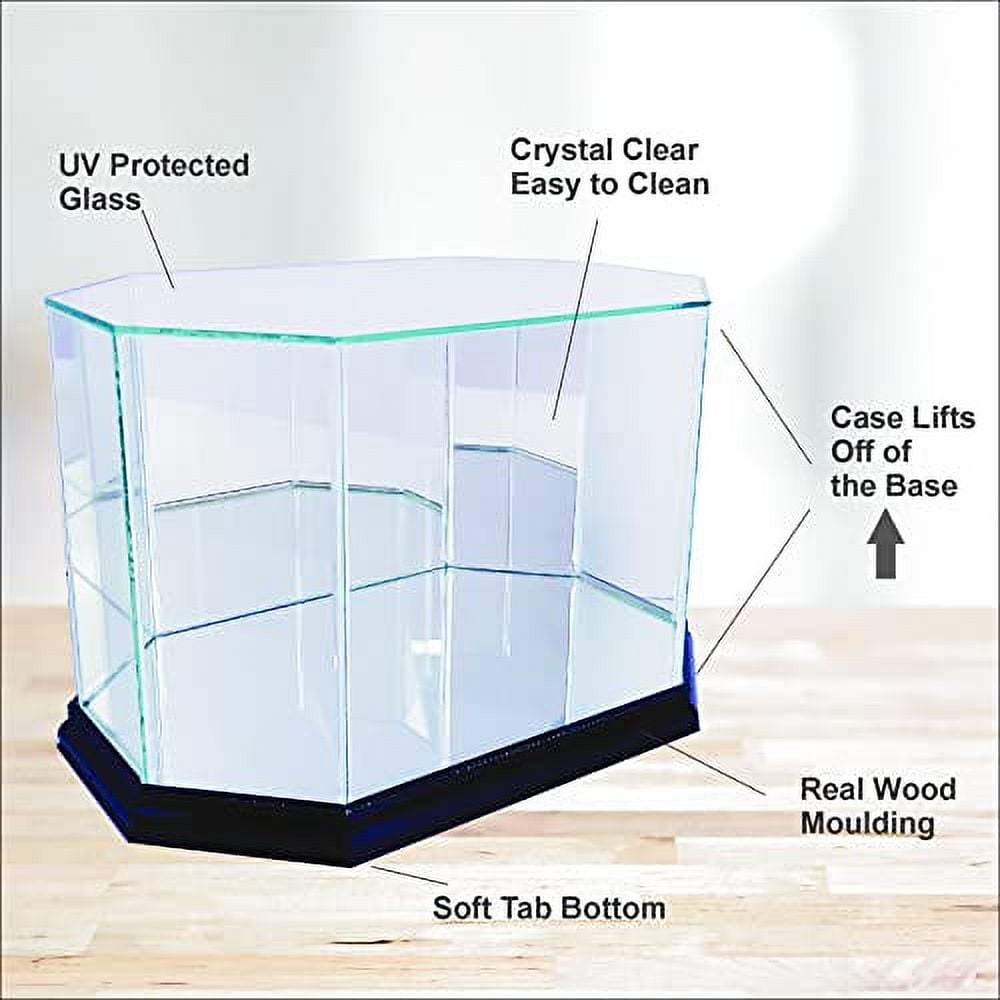Octagon Basketball Display Case - Walmart.com