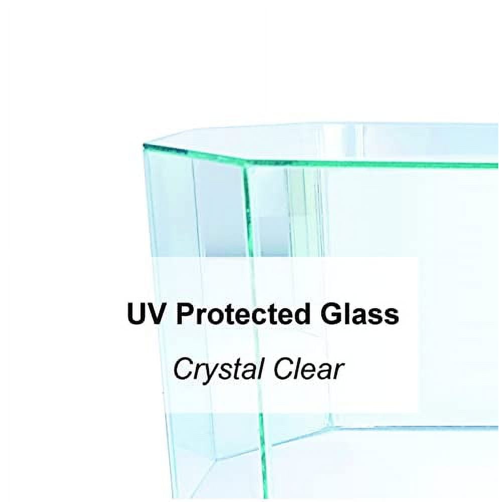 Octagon Football Display Case - Walmart.com