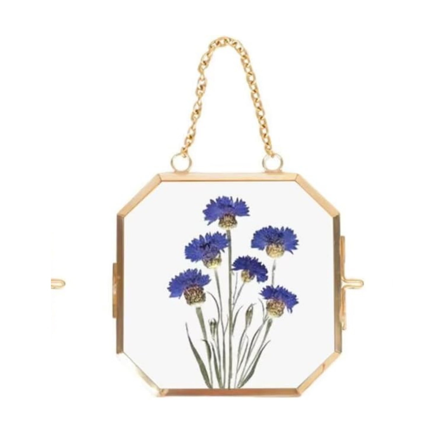 Octagon Herbarium Glass Frame,Pressed Flower Glass Picture Frame with ...