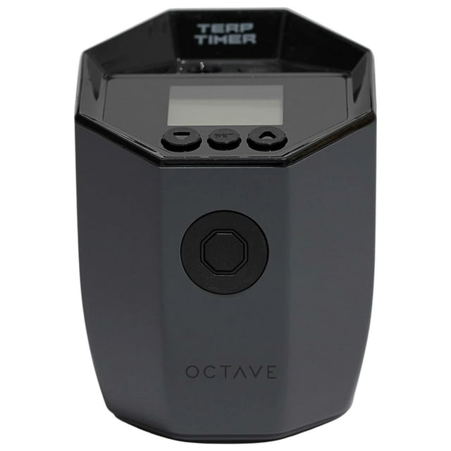 Octave Terp Timer Matt Grey, Embossed Base, Digital Display - Walmart.com