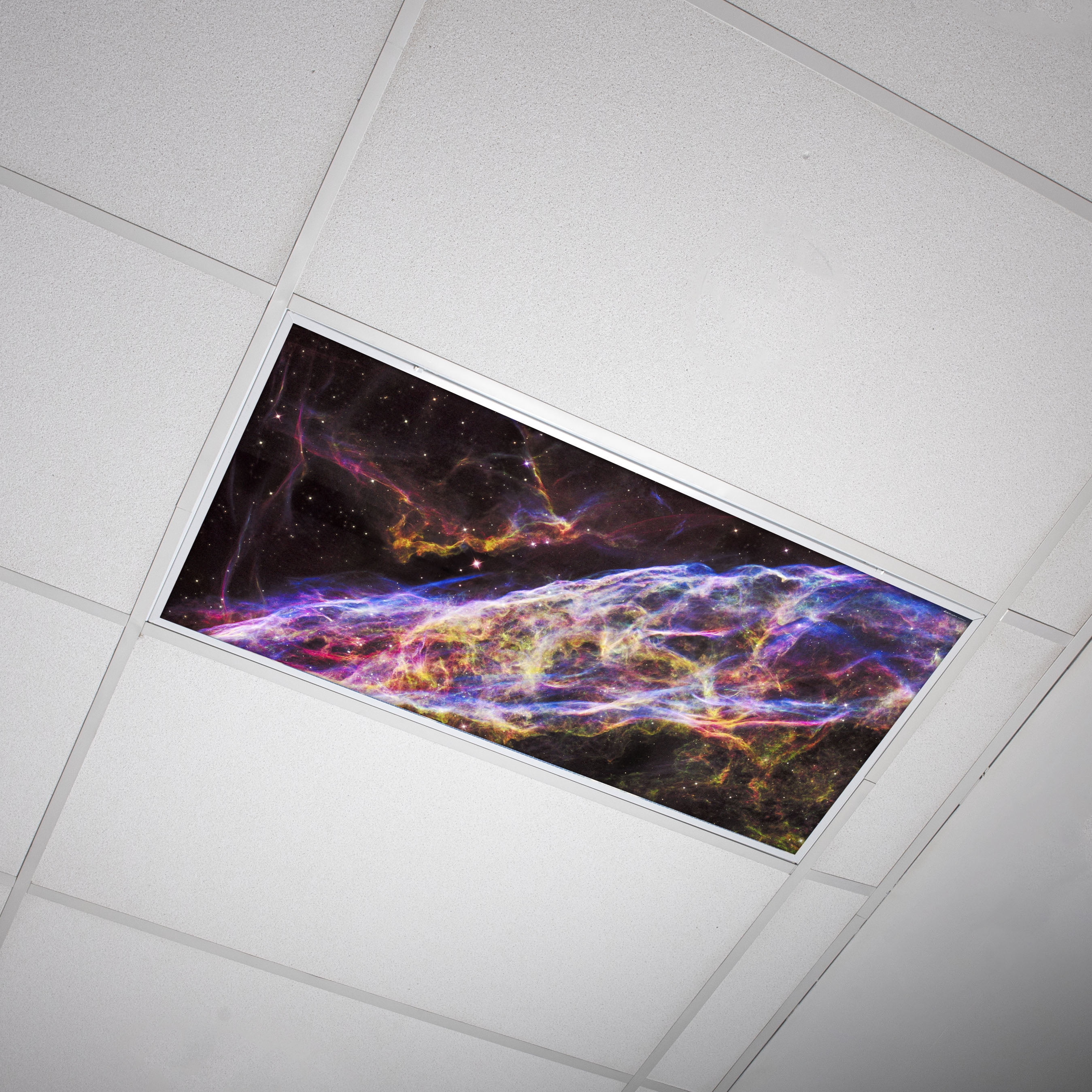 Octo Lights - Fluorescent Light Covers - 2x4 Flexible Ceiling Light ...