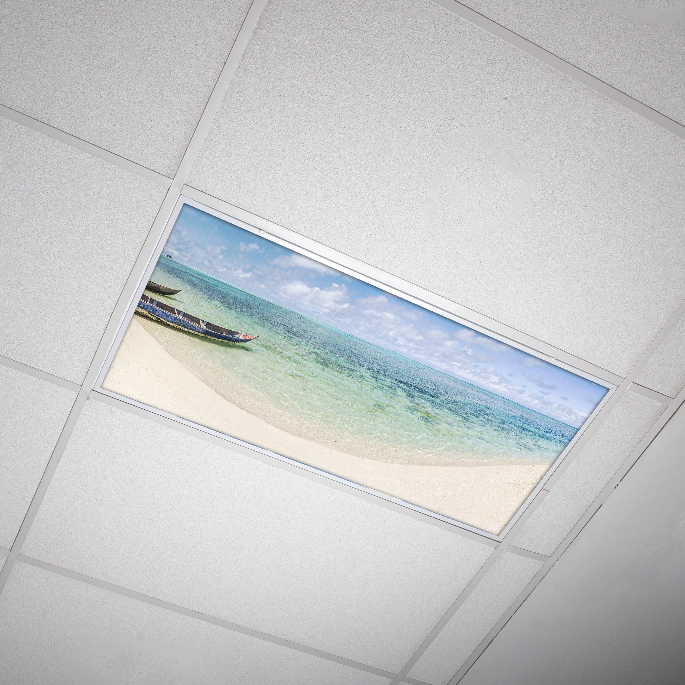 Octo Lights - Fluorescent Light Covers - 2x4 Flexible Ceiling Light ...