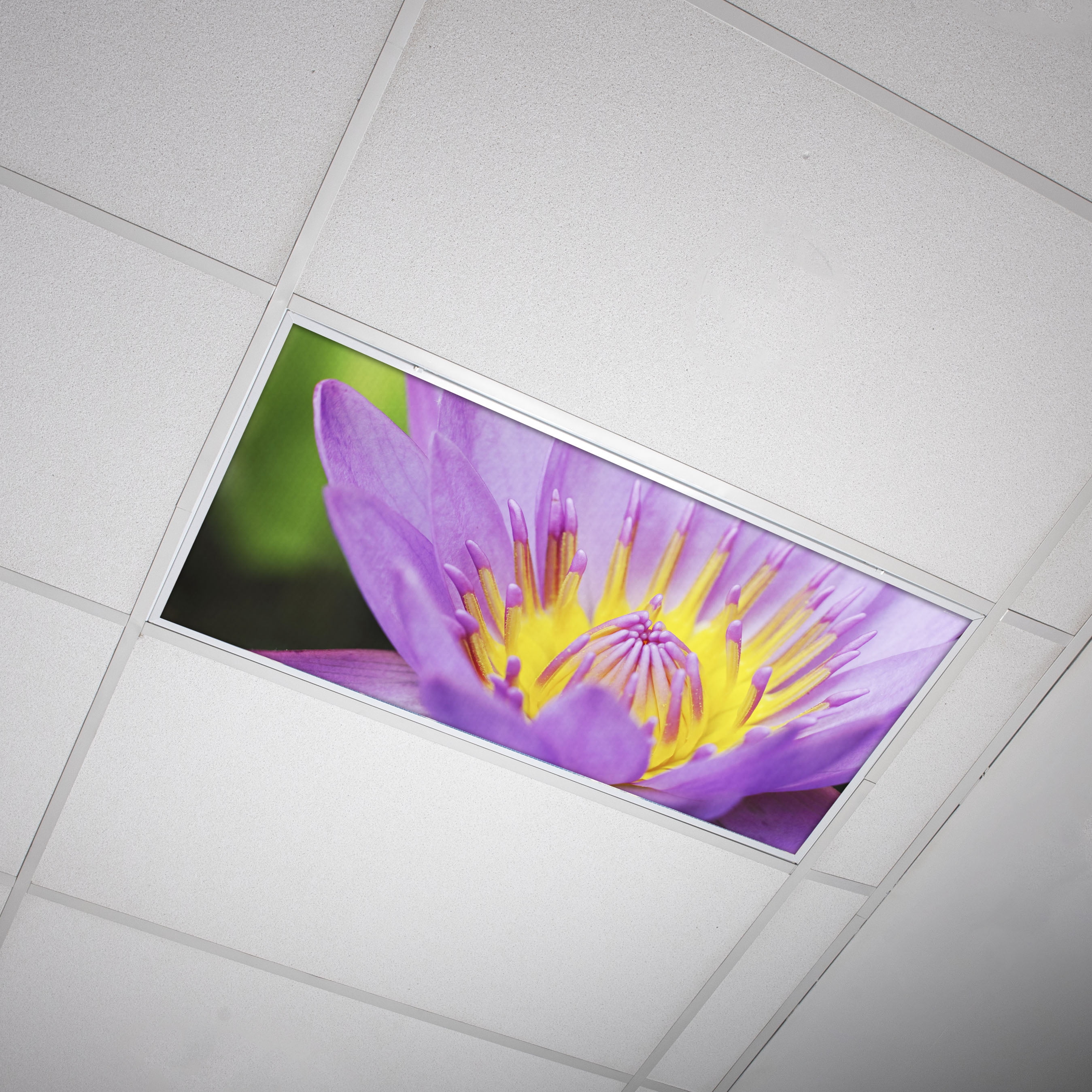 Octo Lights - Fluorescent Light Covers - 2x4 Flexible Ceiling Light ...