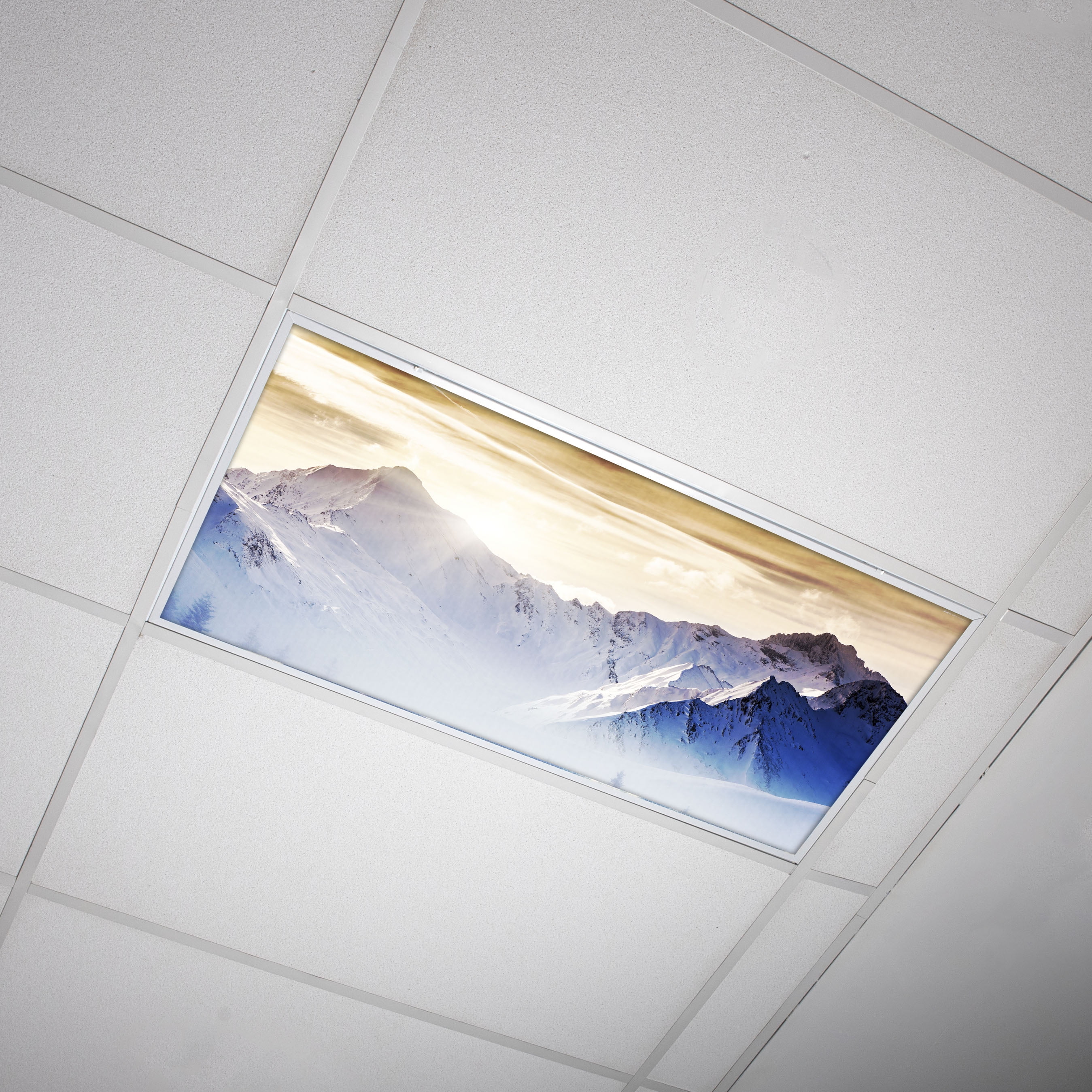 Octo Lights - Fluorescent Light Covers - 2x4 Flexible Ceiling Light ...