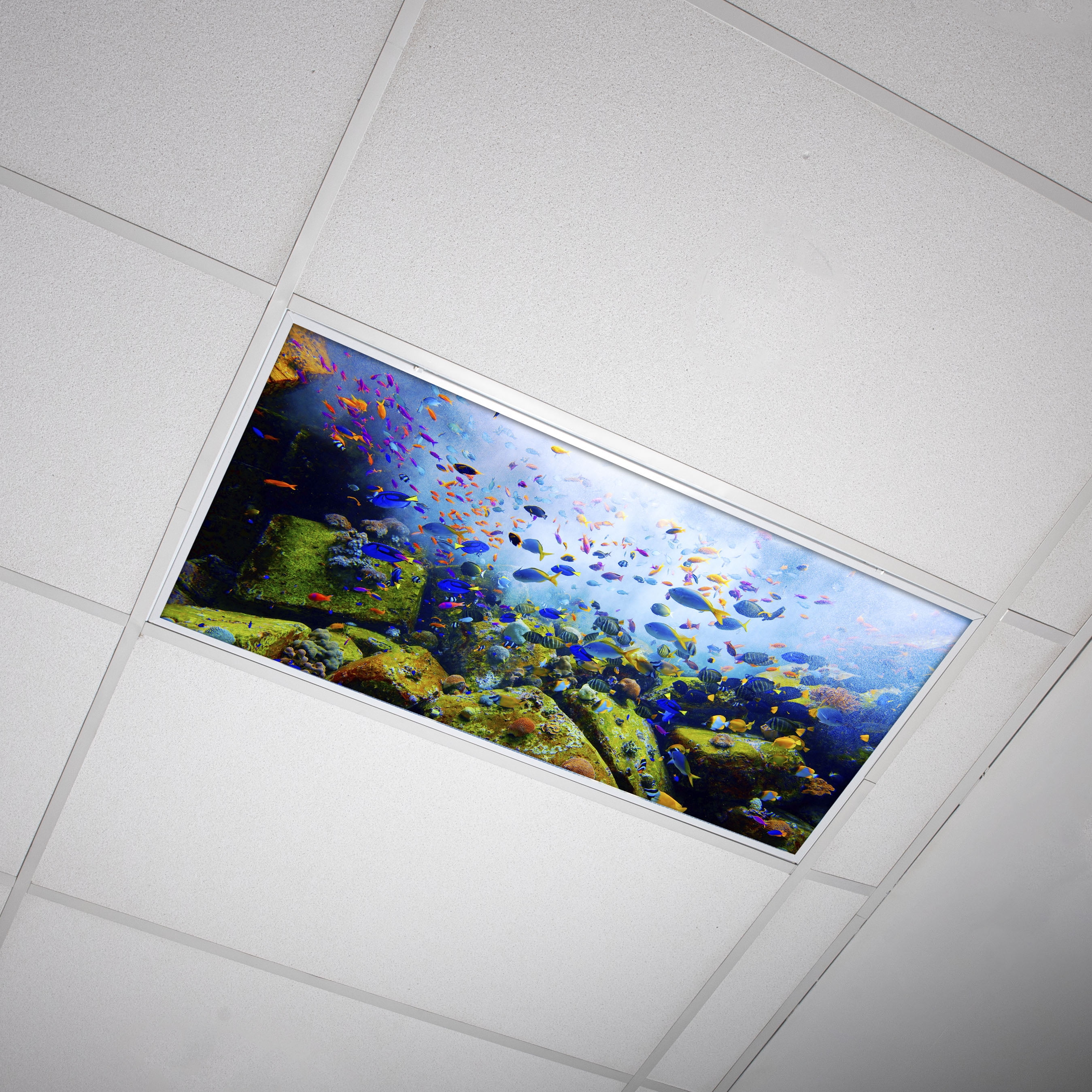 Octo Lights - Fluorescent Light Covers - 2x4 Flexible Ceiling Light ...