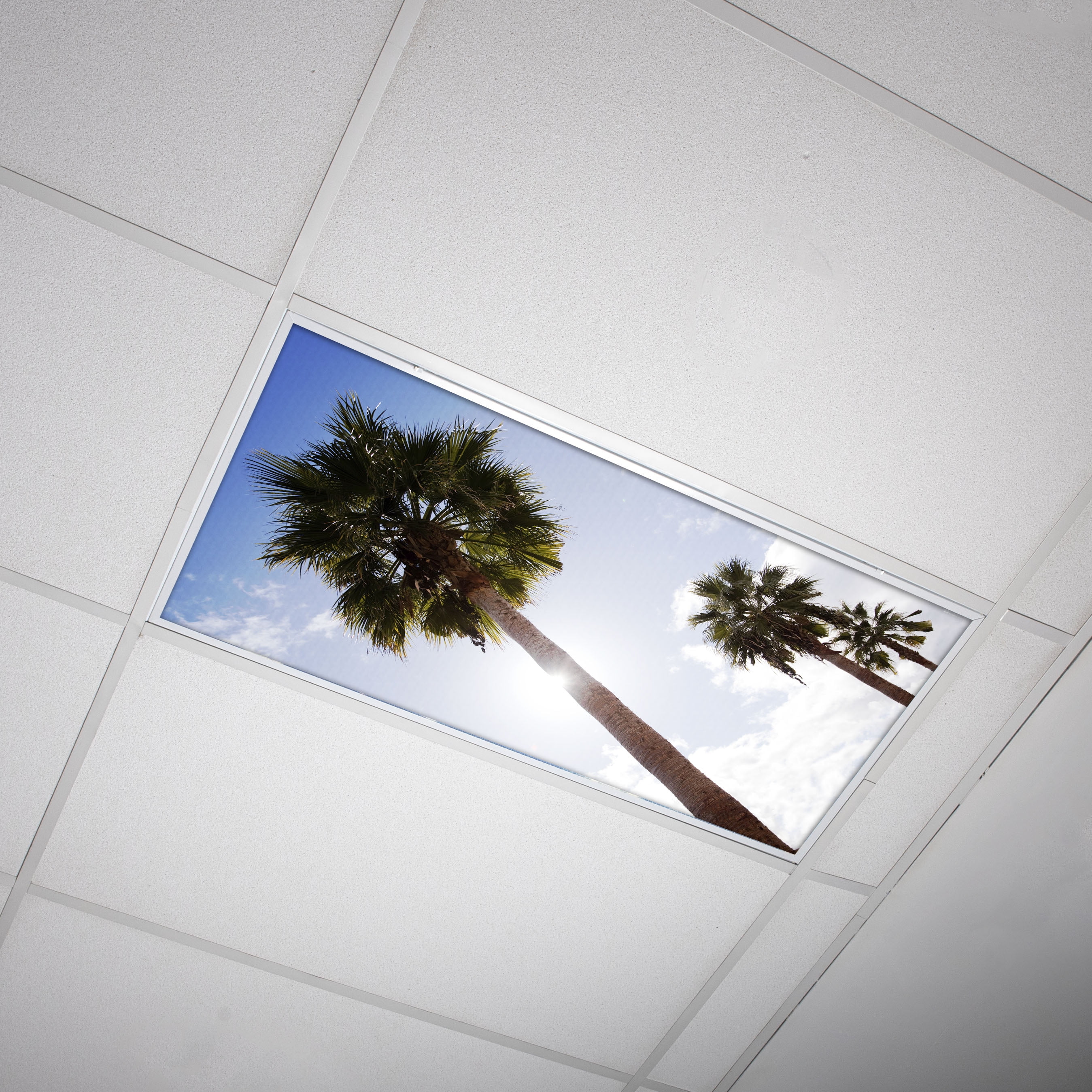 Octo Lights - Fluorescent Light Covers - 2x4 Flexible Ceiling Light ...