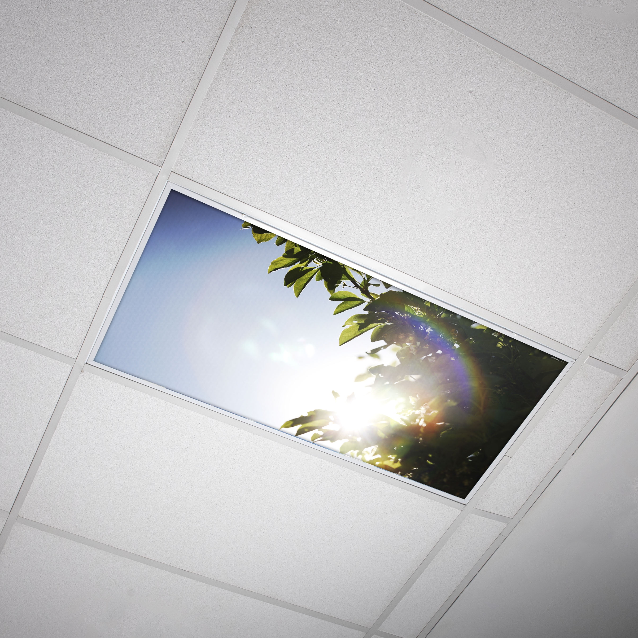 Octo Lights - Fluorescent Light Covers - 2x4 Flexible Ceiling Light ...