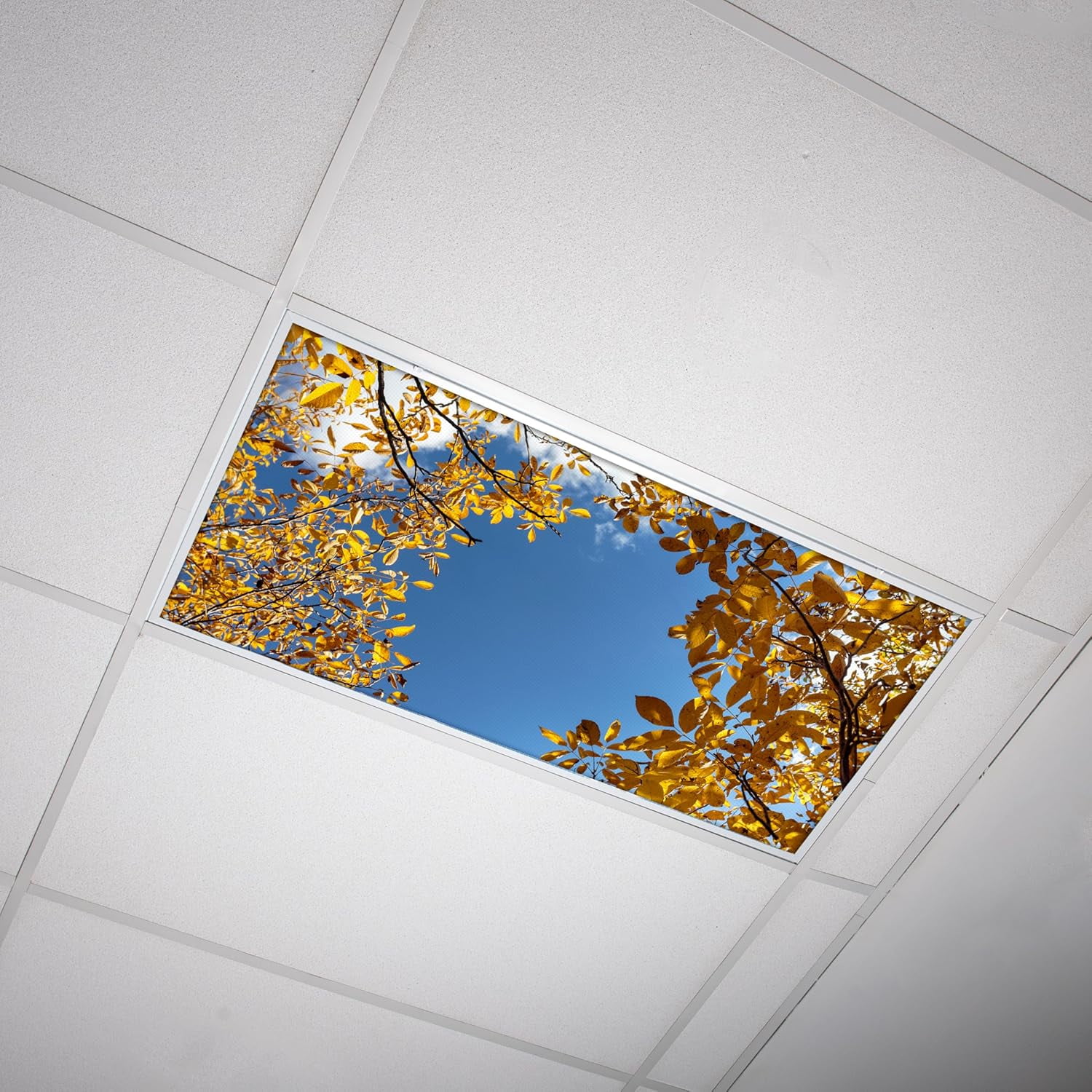 Octo Lights Fluorescent Light Covers for Ceiling Lights Classroom 2x4 ...