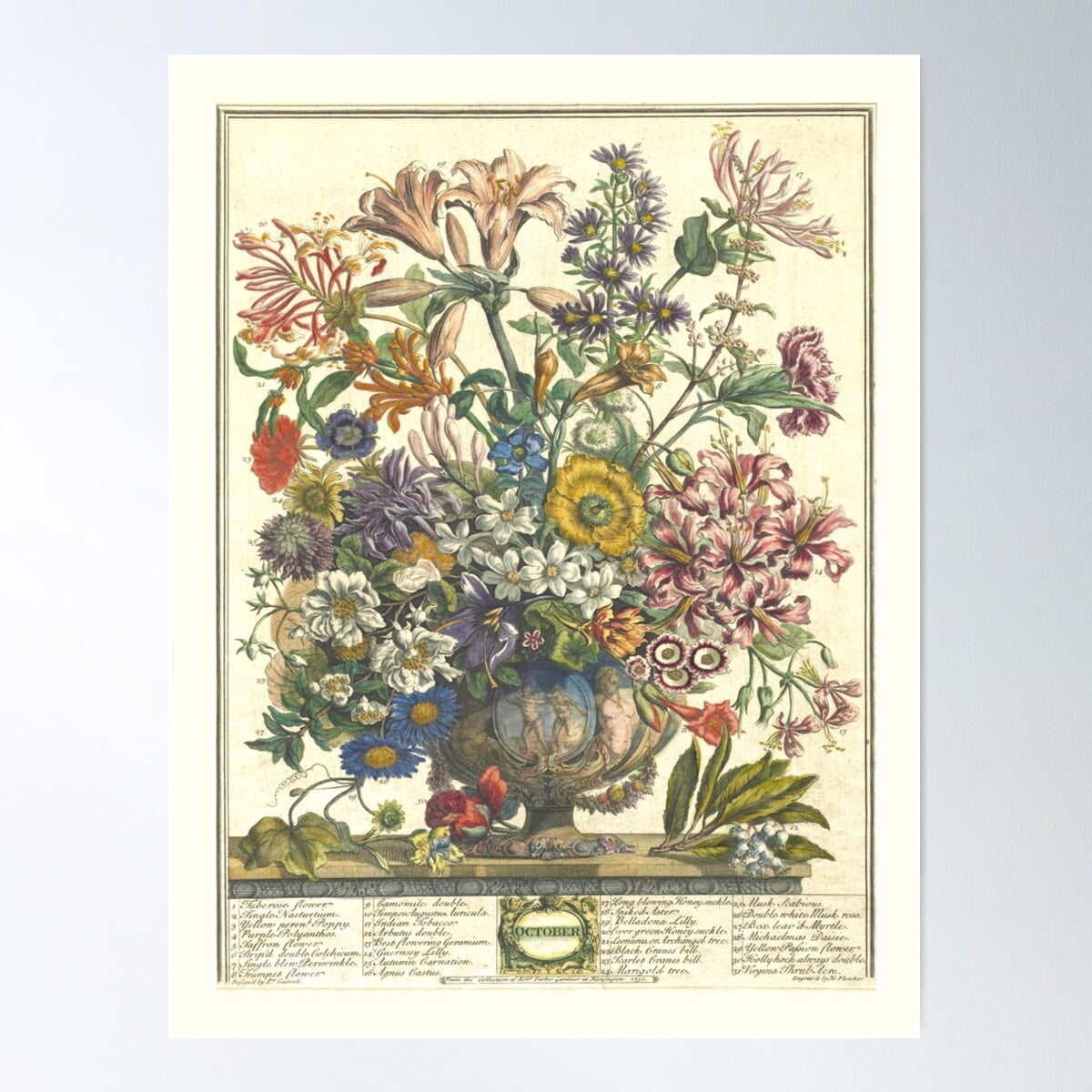 October, From The Twelve Months Of Flowers, By Robert Furber (1732 ...