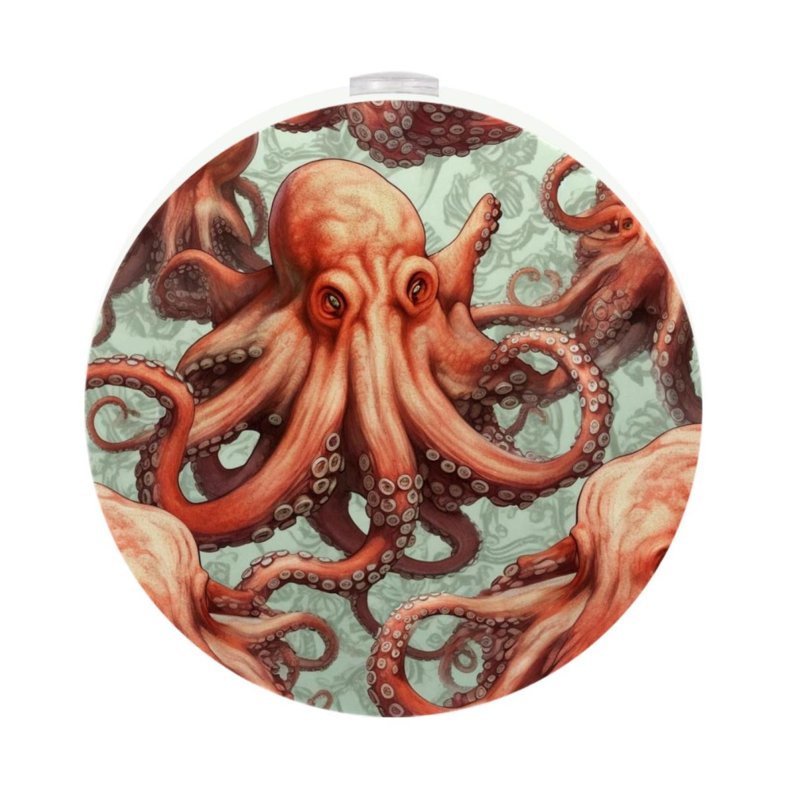Octopus Circular Night Light - 2 Pack Wall Light with LED Induction ...
