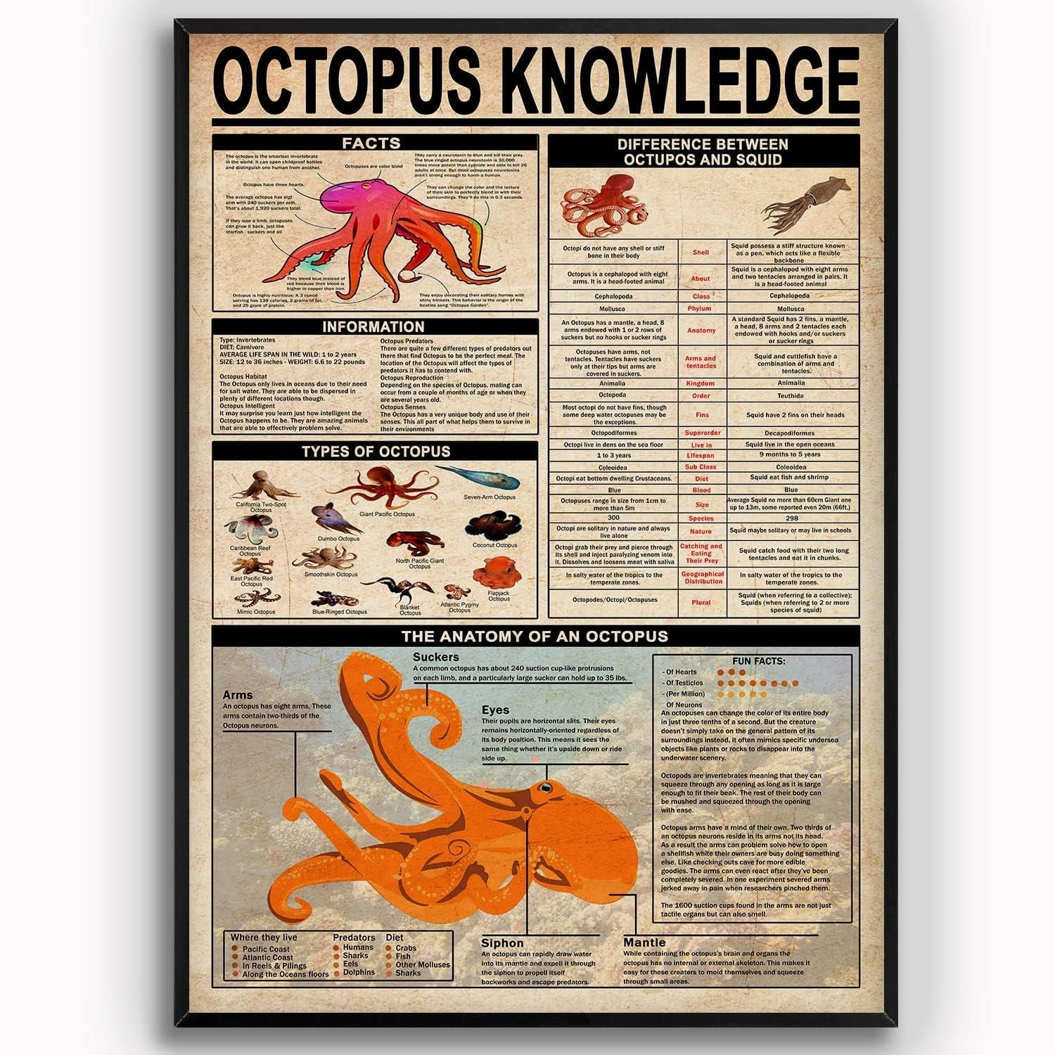 Octopus Knowledge Metal Tin Signs Vintage Octopus Anatomy Guide Posters ...