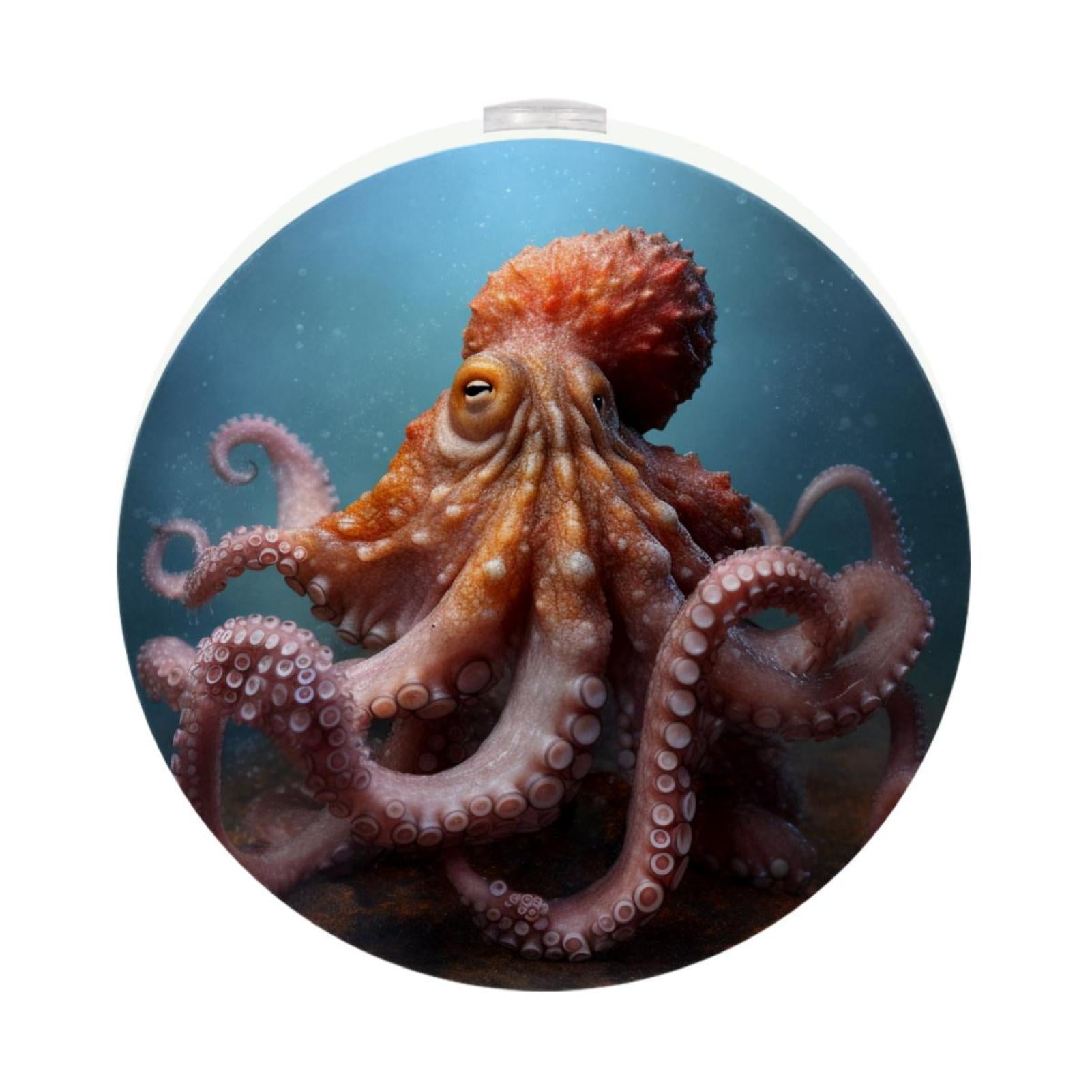Octopus LED Night Light Set - Induction Light Control, Suitable for ...