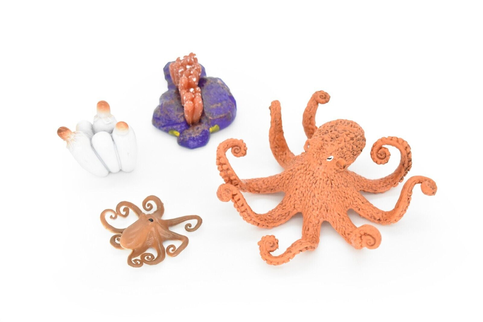 Octopus, Learn the Octopus Life Cycle, Very Nice Plastic Figure, Model ...