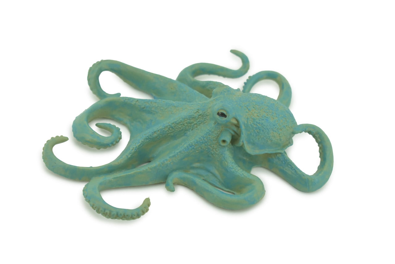 Octopus, Octopodes, Octopoda, Blue Octopi, Museum Quality, Hand Painted ...