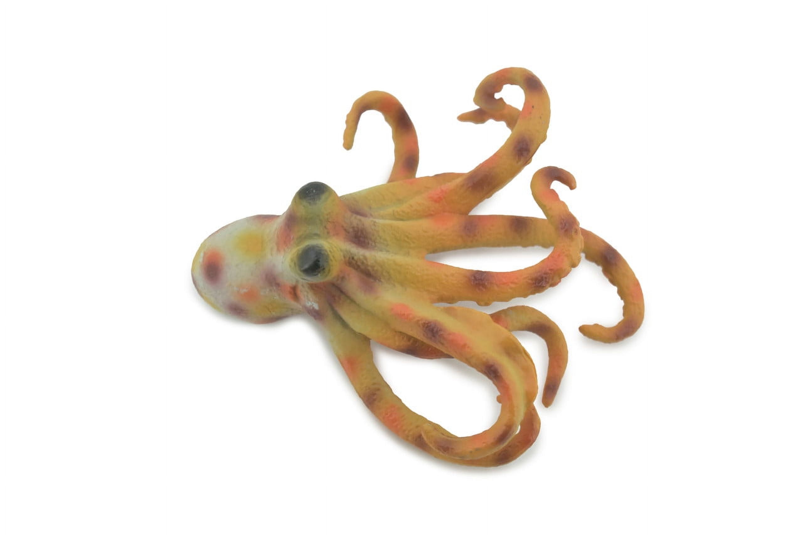 Octopus, Octopodes, Octopoda, Octopi, Museum Quality, Hand Painted ...