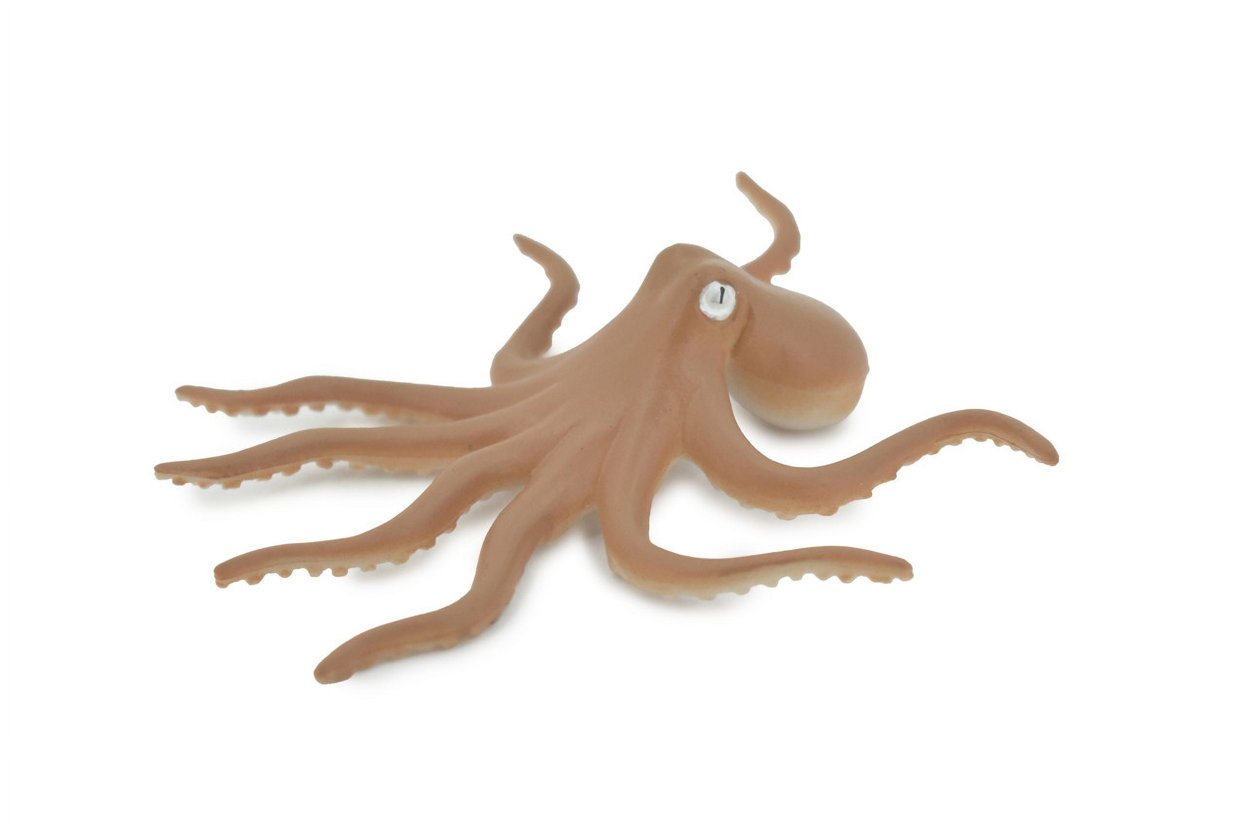 Octopus, Octopuses, Brown, Rubber, Octopodes, Educational, Realistic ...