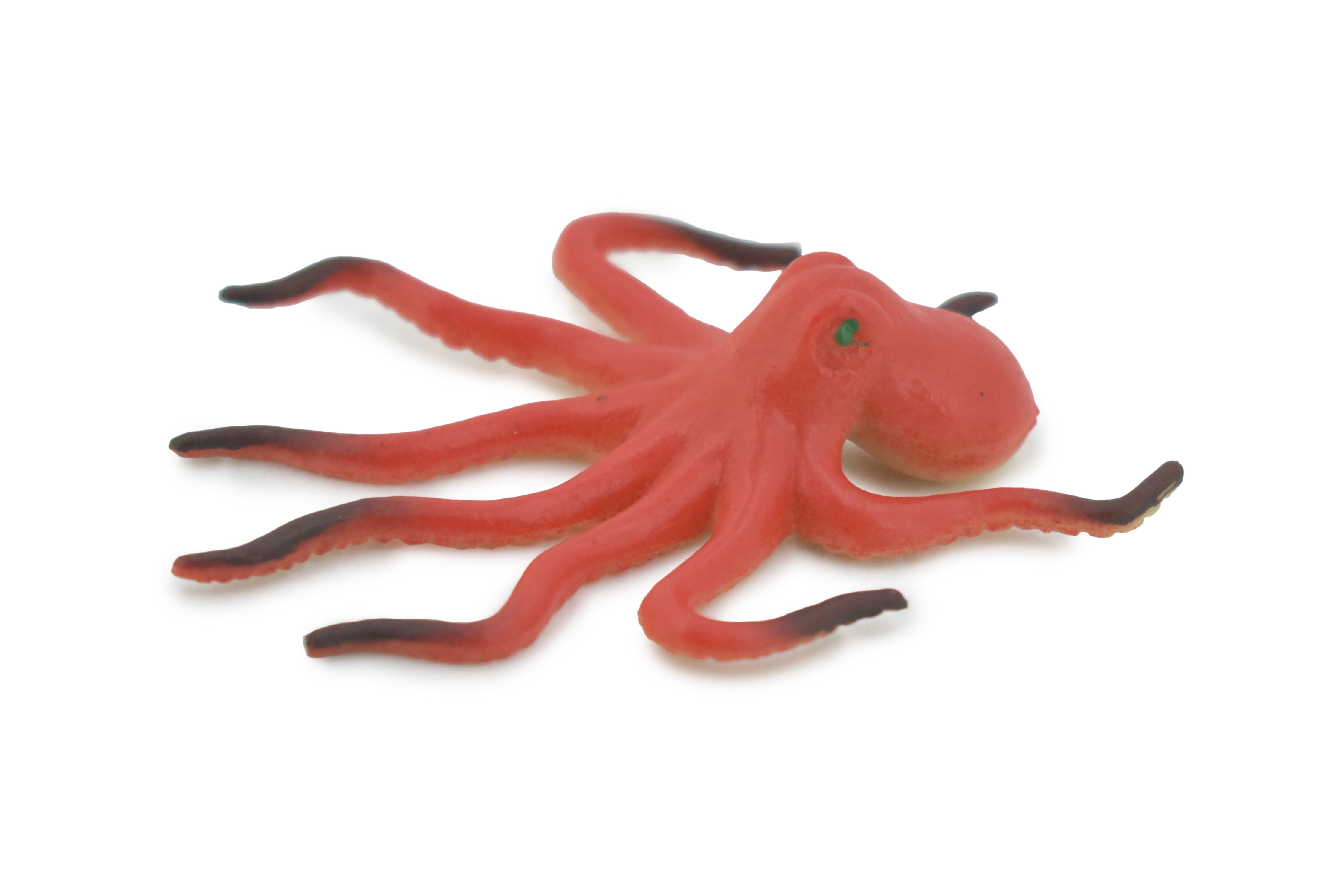 Octopus, Octopuses, Red, Rubber Octopodes, Educational, Realistic Hand ...
